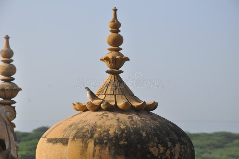 Ancient Indian Architecture, Ancient Design, Ancient Wall Pattern ...