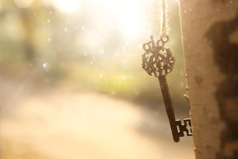 An Ancient Key Hangs on a Tree Trunk in the Forest Stock Photo - Image ...