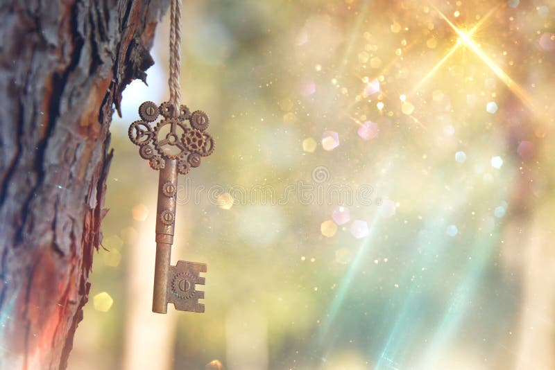 An Ancient Key Hangs on a Tree Trunk in the Forest Stock Photo - Image ...