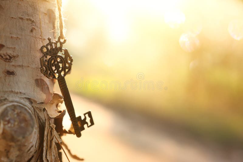 An Ancient Key Hangs on a Tree Trunk in the Forest Stock Photo - Image ...