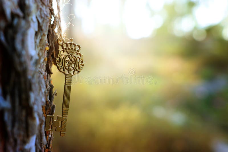 An Ancient Key Hangs on a Tree Trunk in the Forest Stock Image - Image ...