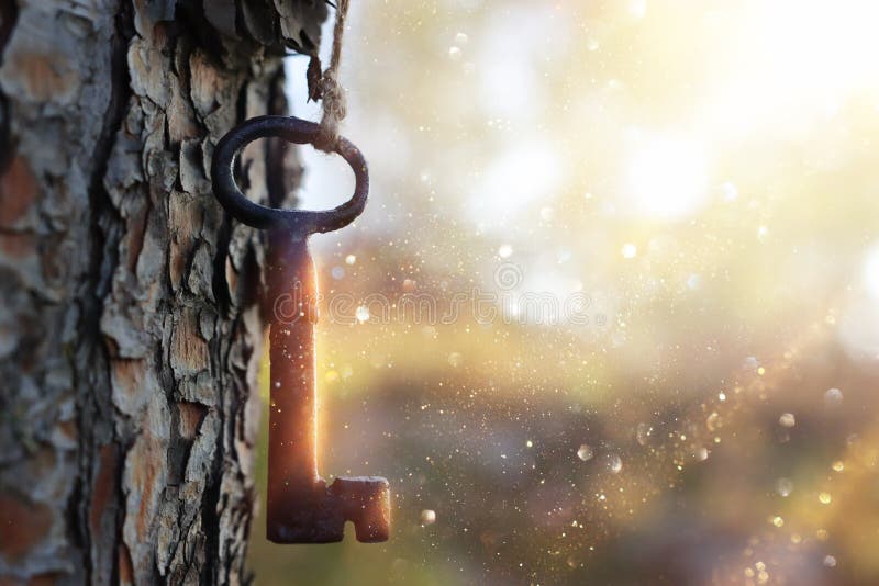 An Ancient Key Hangs on a Tree Trunk in the Forest Stock Photo - Image ...