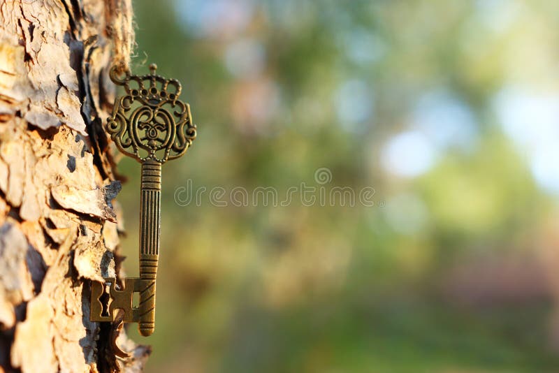 Magic Key Forest Mystery Stock Photos - Free & Royalty-Free Stock ...