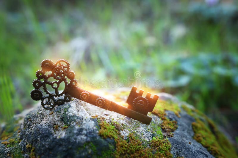 An Ancient Key on the Stone with Moss in the Forest Stock Photo - Image ...