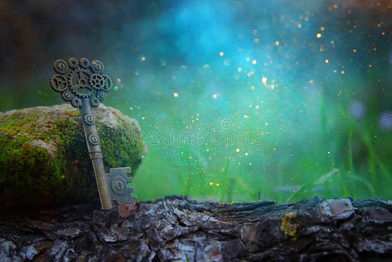 An Ancient Key on the Stone with Moss in the Forest Stock Image - Image ...