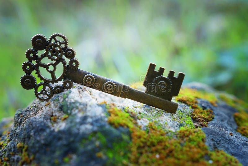 An Ancient Key on the Stone with Moss in the Forest Stock Photo - Image ...