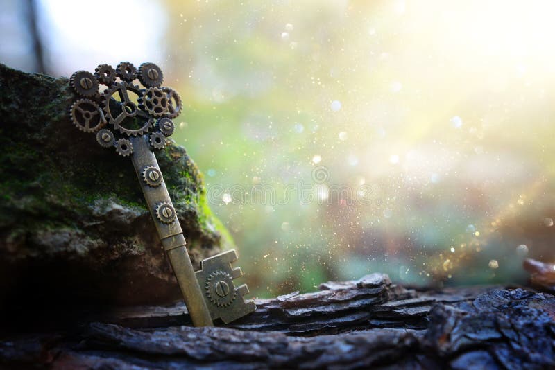 An Ancient Key on the Stone with Moss in the Forest Stock Image - Image ...