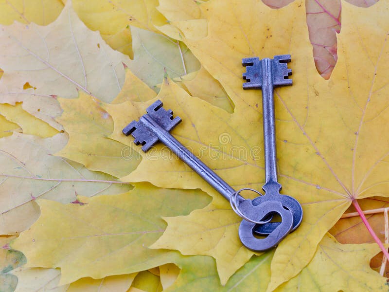 Ancient Keys Lie on Yellow Maple Autumn Leaves Stock Photo - Image of ...