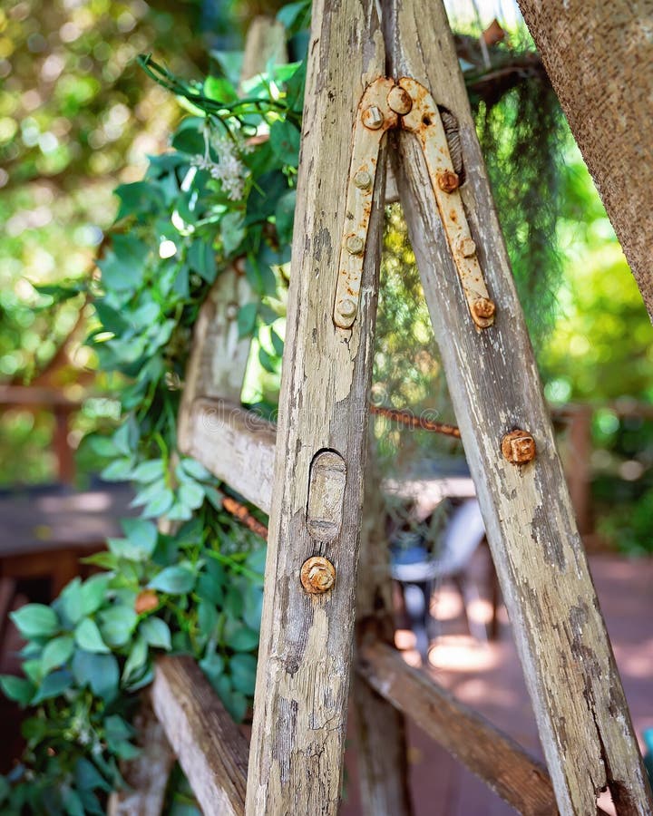 Ancient Ladder Used for Decor Stock Photo - Image of worn, close: 196653170