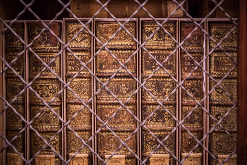 Ancient Library in Italy, Old Wooden Library Editorial Image - Image of ...