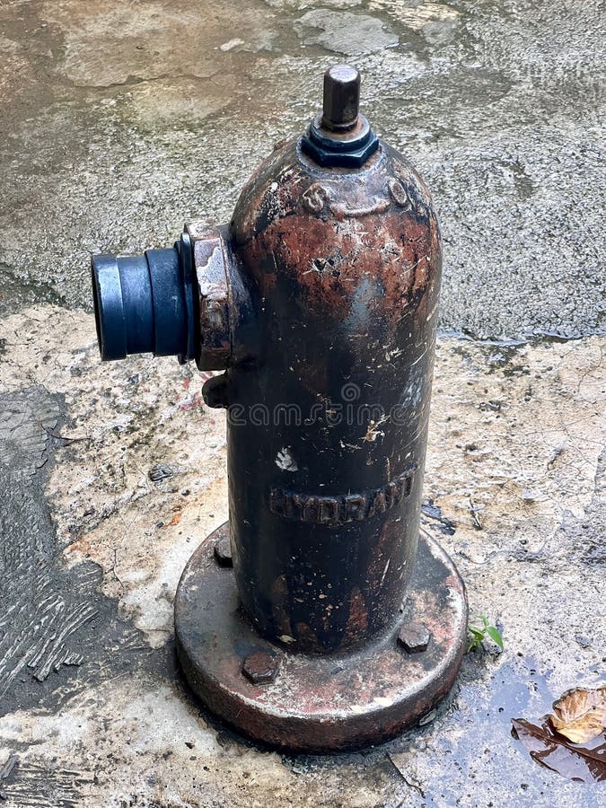 An Ancient Looking Fire Hydrant in the Front Yard of a Flat Built in ...