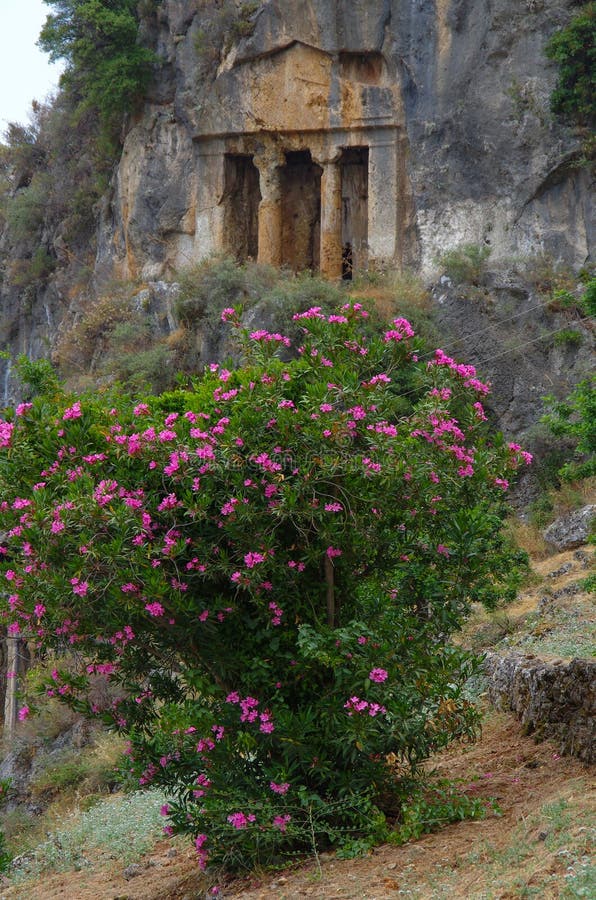 Ancient Lycian Rock Tombs in Fethiye, Turkey Editorial Image - Image of ...