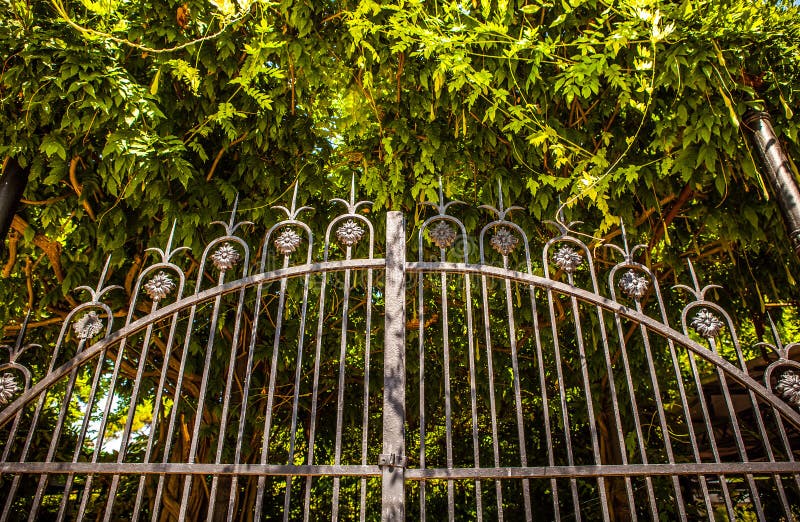Ancient Metal Italian Gate with Garden Vegetation Stock Photo - Image ...