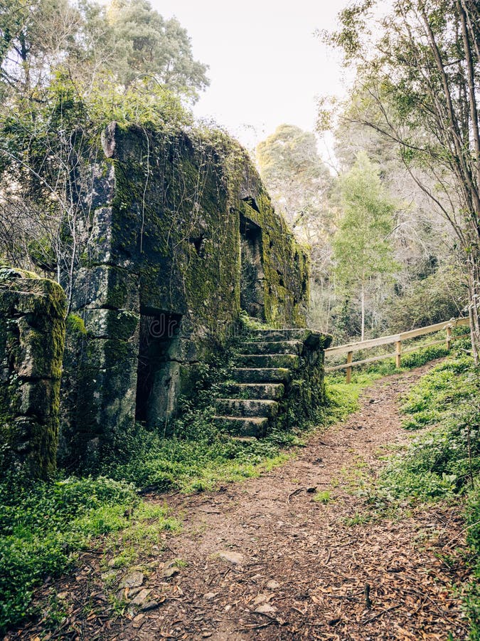 Ancient Moss-covered House Structure with Stairs Leading Up, Surrounded ...