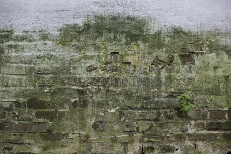 Ancient Mossy Monastery Wall, Brickwork, Blurred Background Stock Image ...