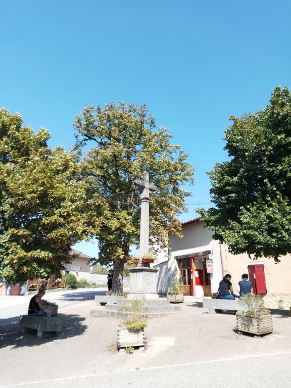 Ancient Old Town in France Perouges Tree on the Public Courtyard ...