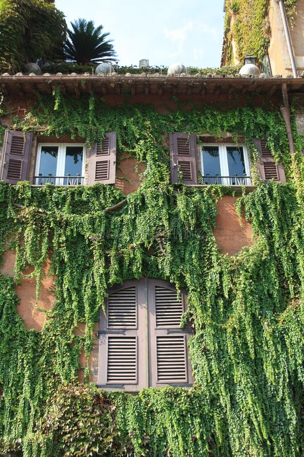 Facade of an Ancient Palace with Foliage in the Historic Centre of Rome ...
