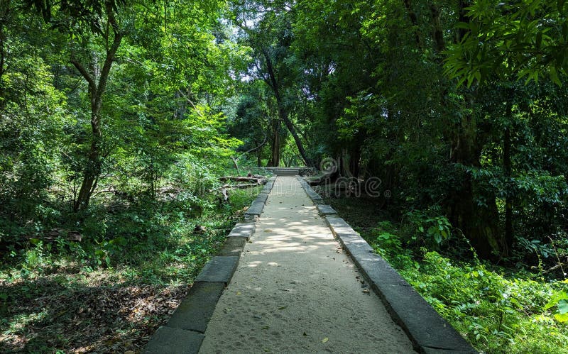 Ancient pathway arankale stock image. Image of nature - 393552237
