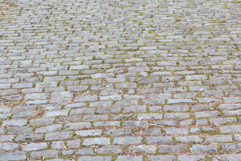 Ancient Paving Stones. the Concept of a Path Paved with Ancient Stones ... Ancient Paving Stones. the Concept of a Path Paved with Ancient Stones ...