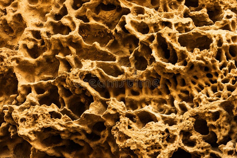 Ancient Petrified Mold, Texture, Background Stock Photo - Image of wall ...