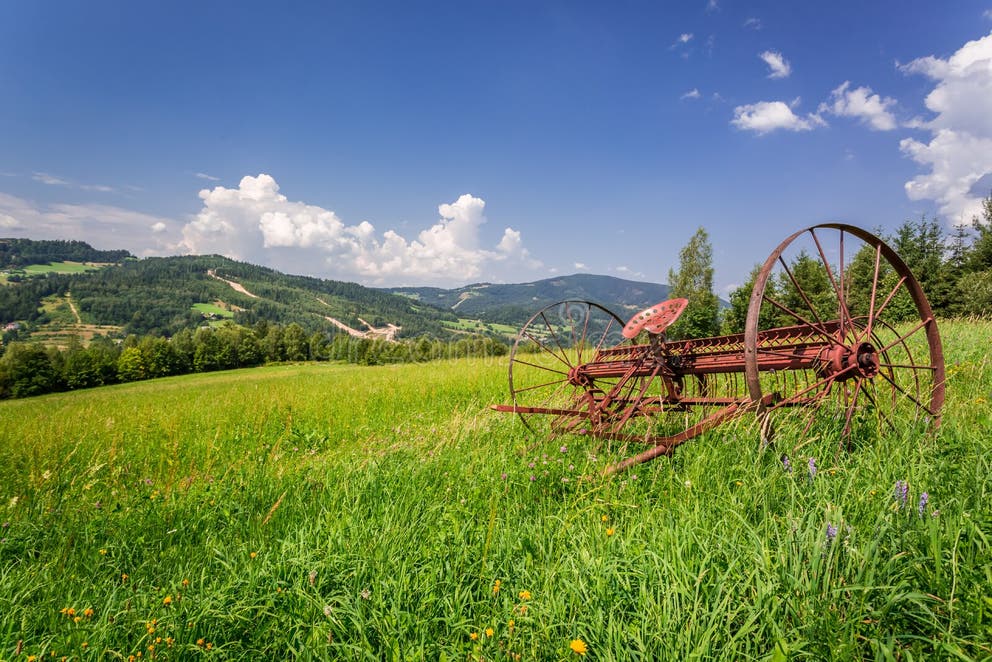 Ancient rake in a field stock photo. Image of fieldwork - 44782760
