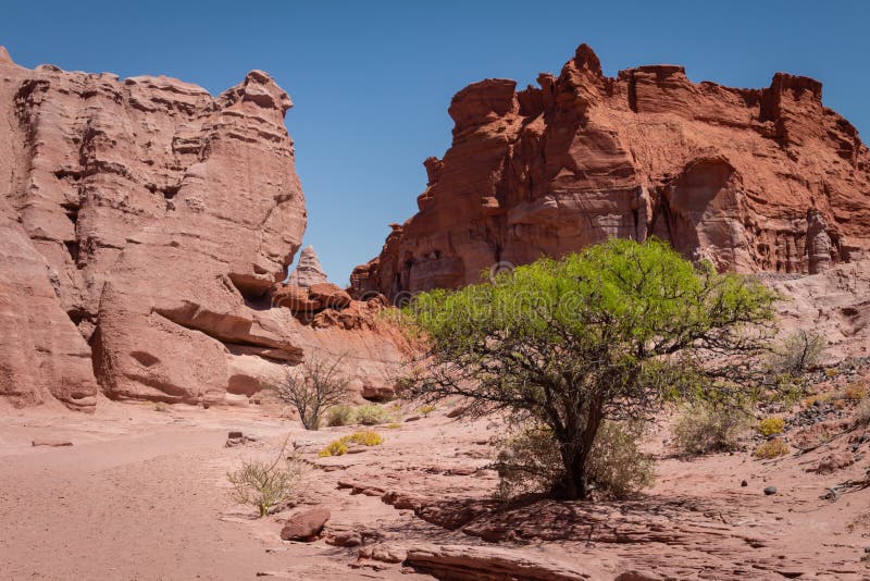 Ancient Reddish Rock Formations. Arid Zone Tree Stock Image - Image of ...
