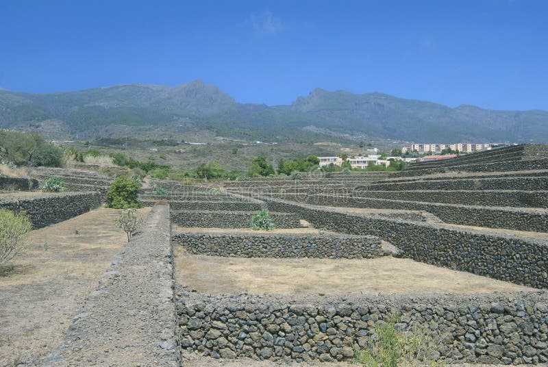 Ancient Remains Picture. Image: 6151629