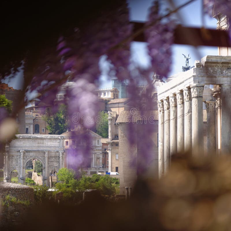 Ancient Rome, Italy through Trees Stock Photo - Image of outside ...