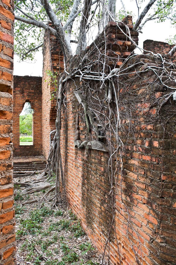 Ancient ruin wall stock image. Image of famous, archaeology - 22527659