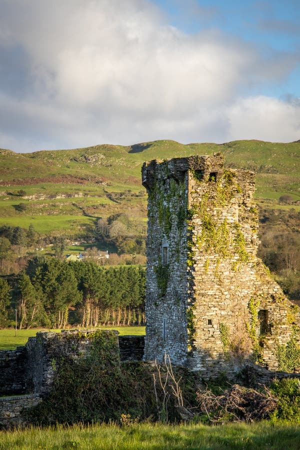 Ancient Ruins of Carriganass Castle, County Cork Stock Image - Image of ...