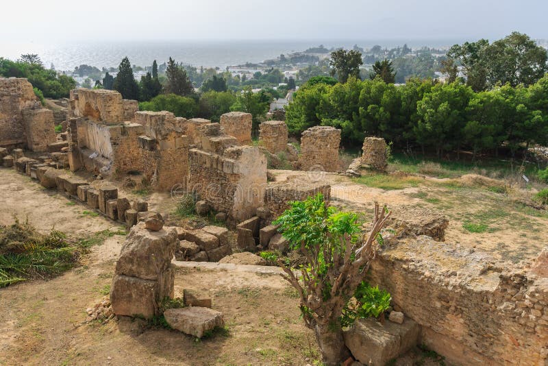 Ancient ruins of Carthage editorial stock image. Image of tree - 188045794