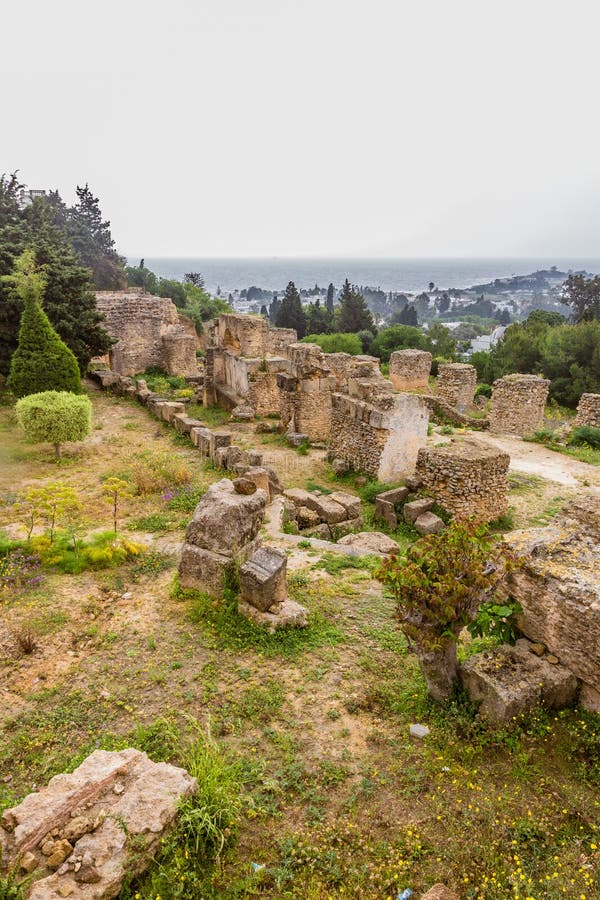 Ancient Ruins of Carthage, Tunisia Stock Photo - Image of culture ...
