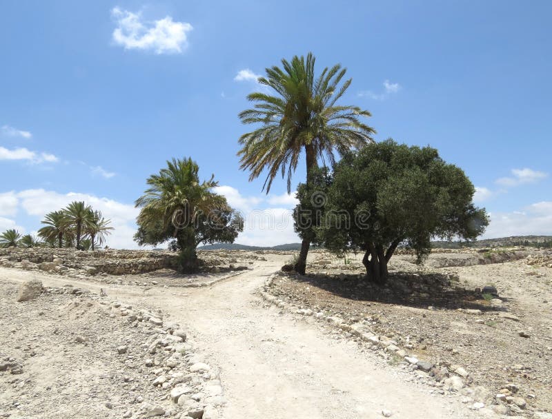 Ancient ruins stock photo. Image of building, site, armageddon - 74131266