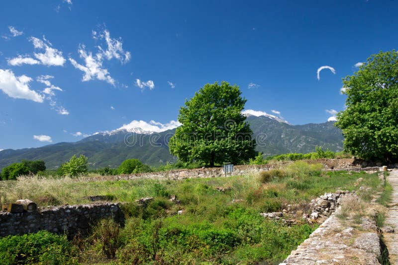 Ancient ruins in Dion stock image. Image of hellenistic - 264072687
