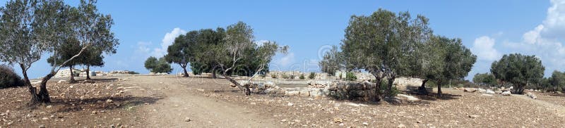 Ancient Farm with Manur in Belgium Stock Photo - Image of manure ...