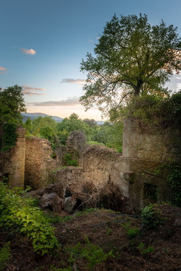 Ruins in Spring stock photo. Image of path, moss, perspective - 66287136