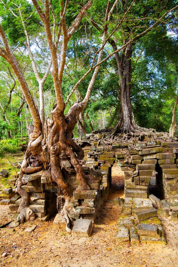 Ancient ruins inThe Angkor stock image. Image of kampuchea - 154984293