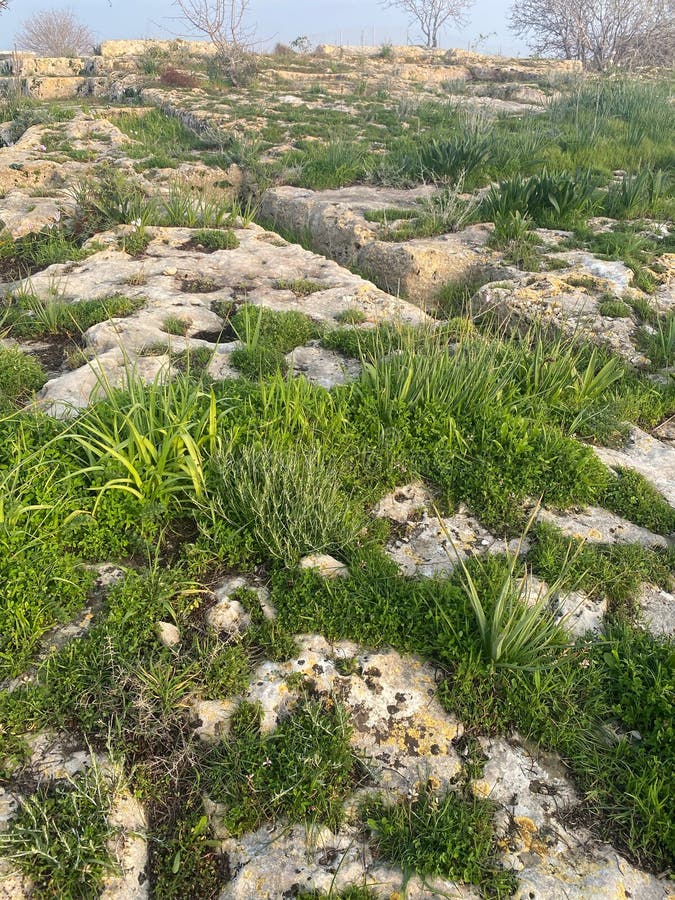 Ancient Ruins Overgrown with Grass. Stock Photo - Image of environment ...