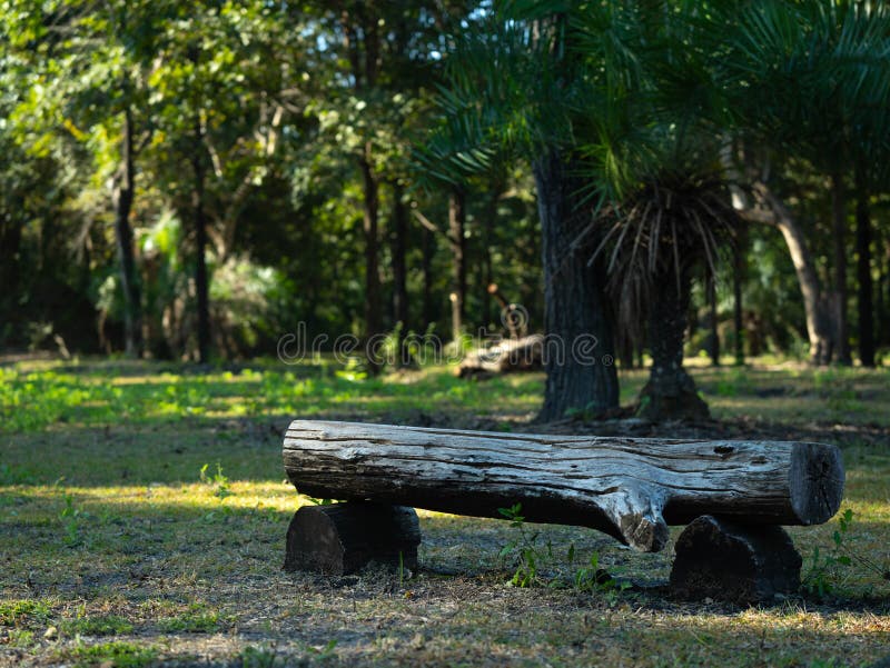 Ancient Rural Bench Made from Logs in the Park Creates a Natural Feel ...