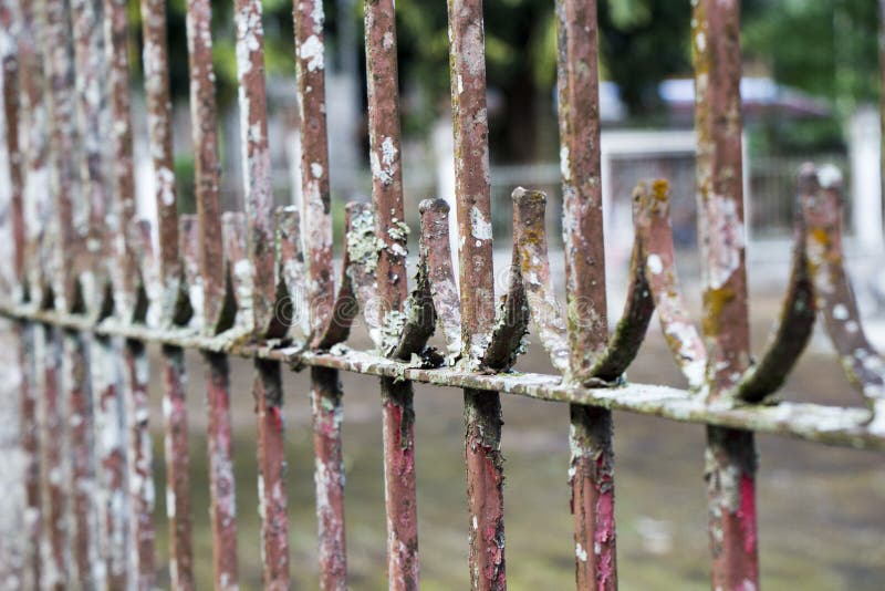 Rusting Gate stock image. Image of entrance, sheet, metal - 44332905