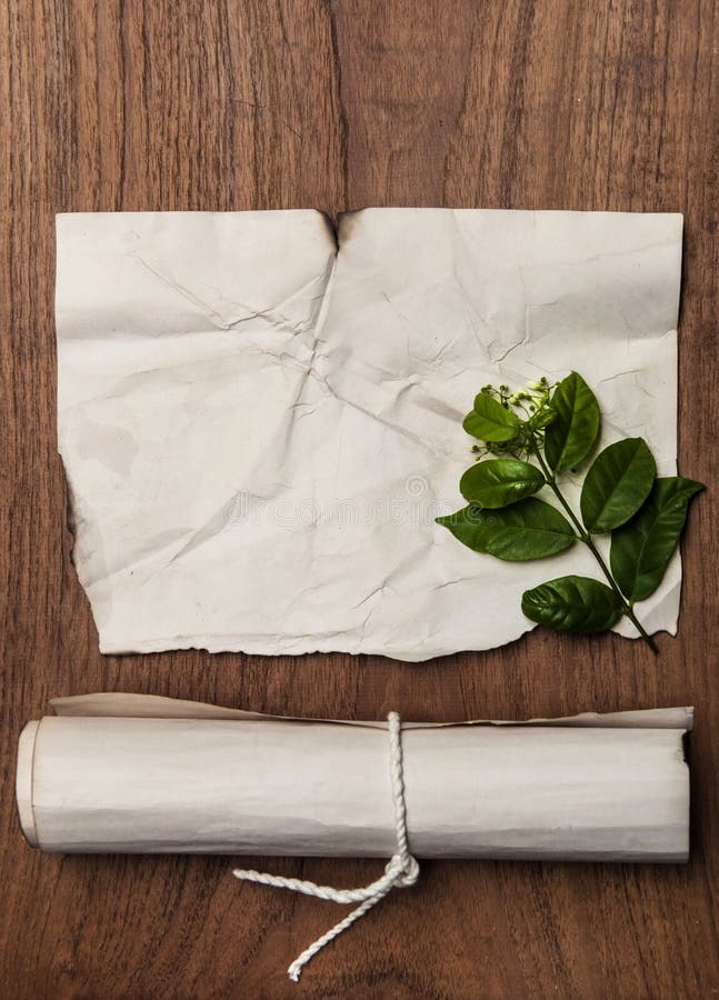 Ancient Scroll with Retro Paper Texture and Green Leaf for Background ...