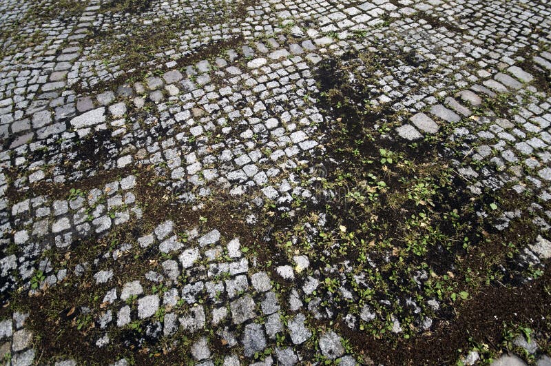 Ancient Sett Pavement Road - Stock Image Stock Photo - Image of real ...