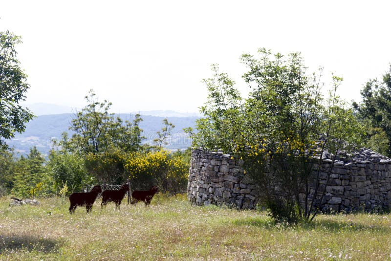 Ancient sheepfold stock photo. Image of landscape, architecture - 122575890