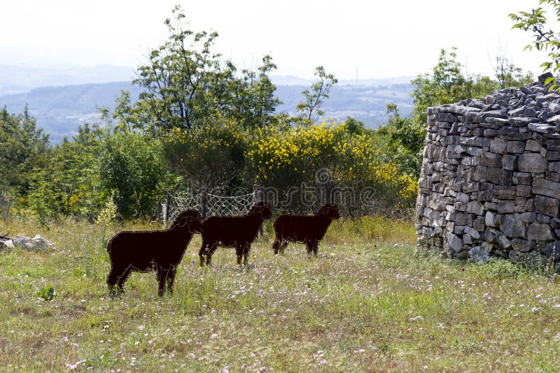 Ancient sheepfold stock image. Image of sheep, wall - 123617557
