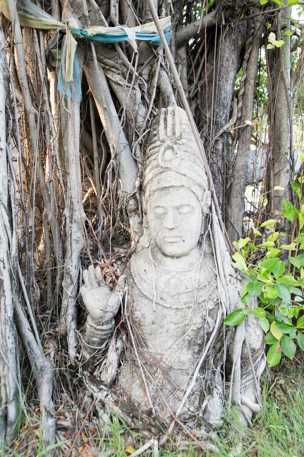 Ancient Shiva Statue Under Tree Ancient Siam Stock Photos - Free ...