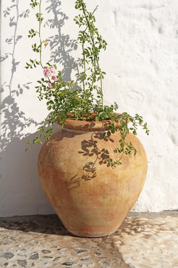 Ancient Spanish Terracotta Flowerpot Stock Photo - Image of pottery ...