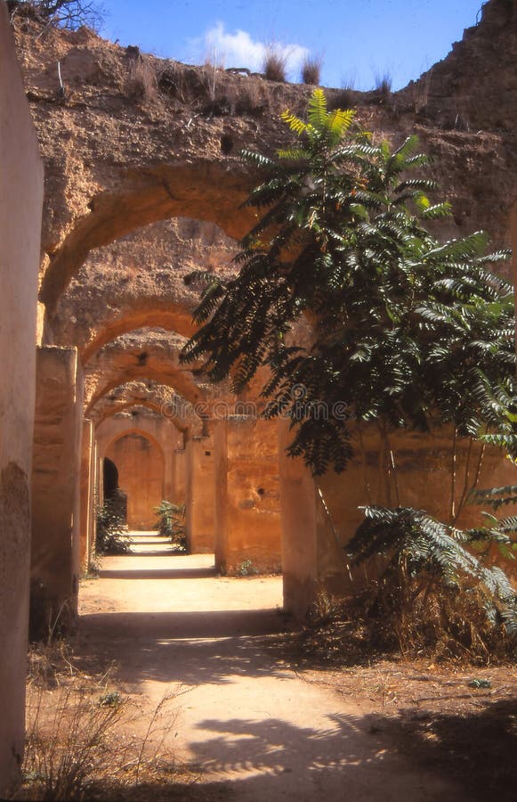 Ancient Stable Walls and Columns Stock Photo - Image of overgrown ...