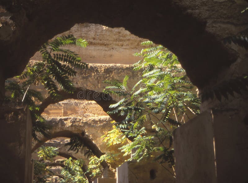 Ancient Stable Walls and Columns Stock Photo - Image of overgrown ...