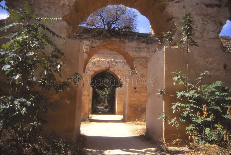 Ancient Stable Walls and Columns Stock Image - Image of overgrown ...