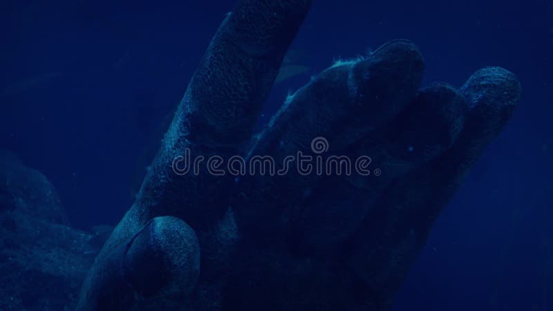 Ancient Statue Deep in the Ocean Stock Video - Video of head, face ...